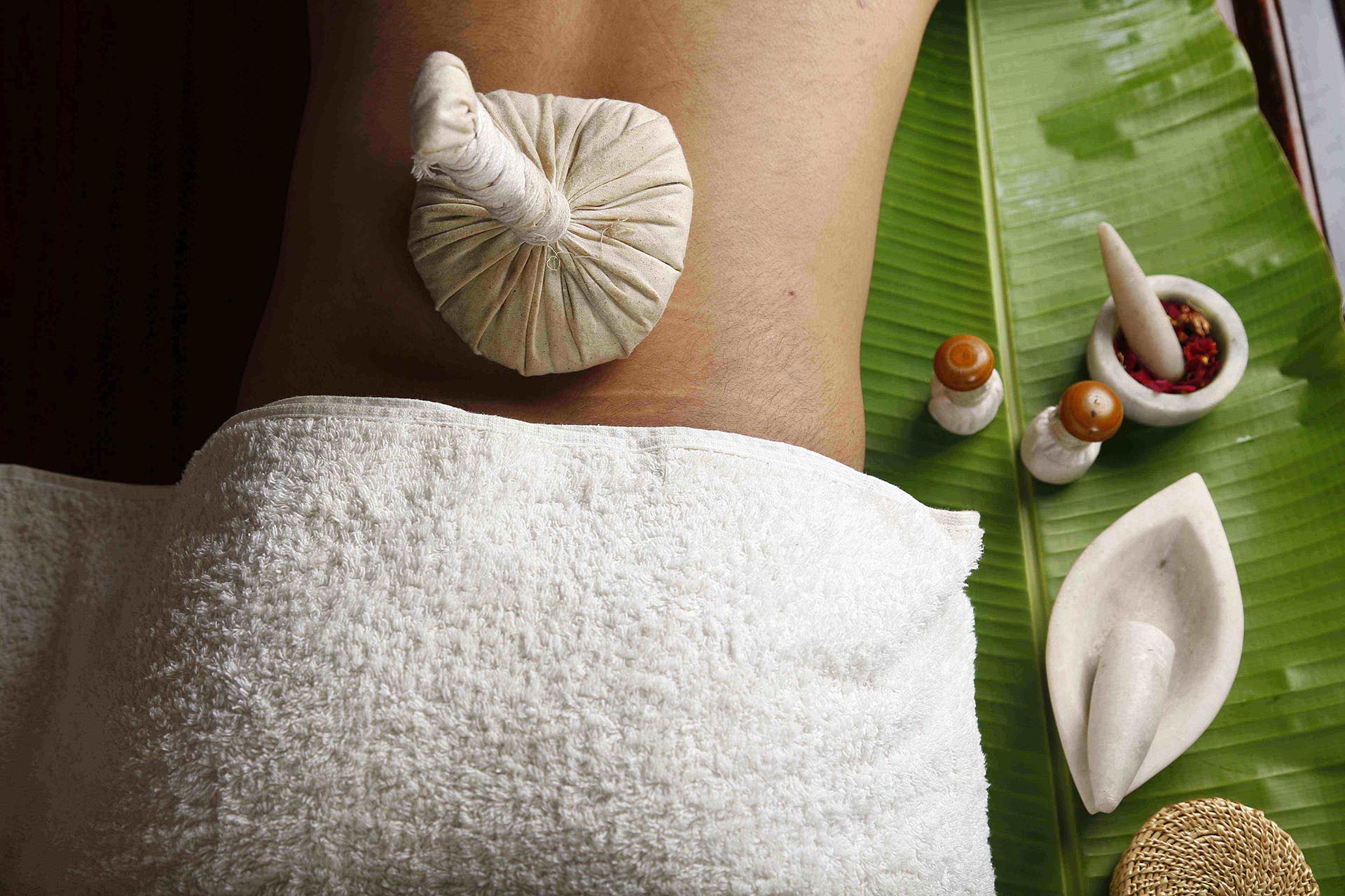 Gallery - Ayurshi Ayurveda